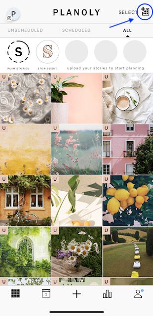 How to Manage Collections on Mobile