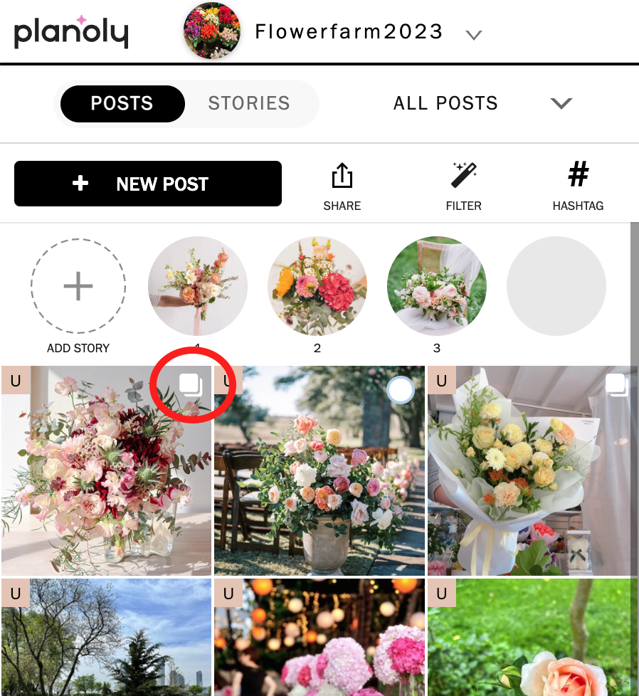 How to Create Carousel Posts