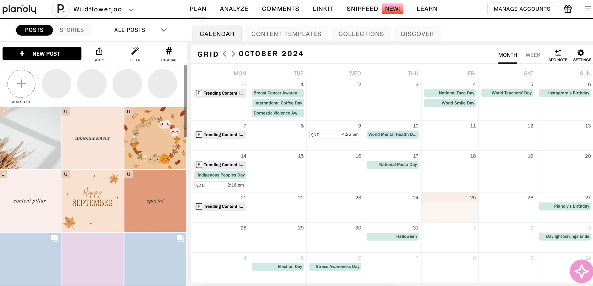 How to Differentiate Between Planners on Planoly