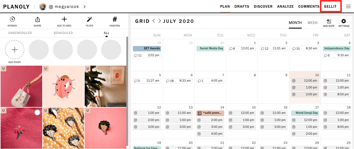 How to Publish Your Sellit Storefront URL